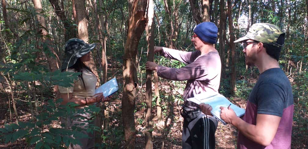 Prácticas de estudiantes de la Licenciatura en Conservación en el ...